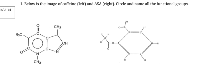 Solved Please circle and draw on the diagram as asked in the | Chegg.com