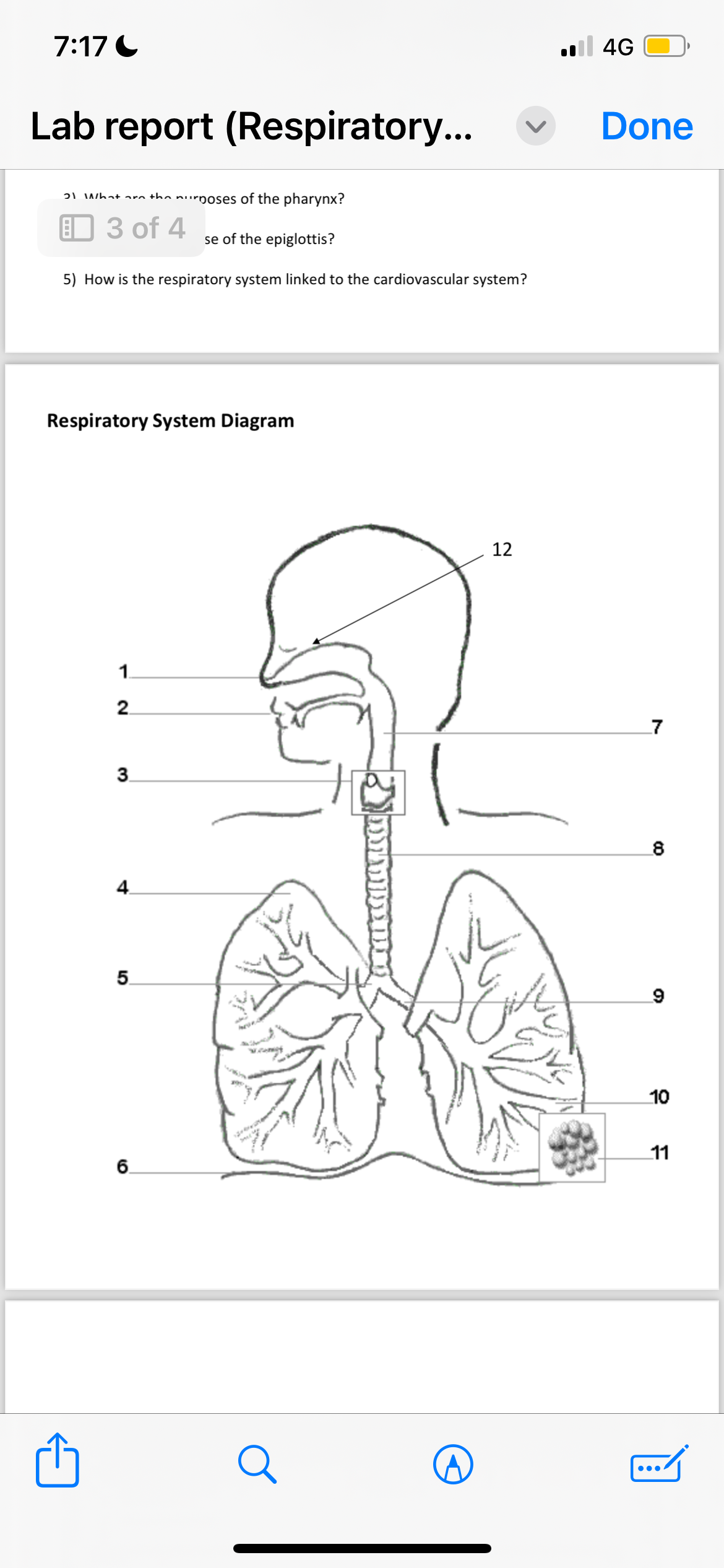 7:17 ﻿C.1 4GLab report (Respiratory...Donese of the | Chegg.com