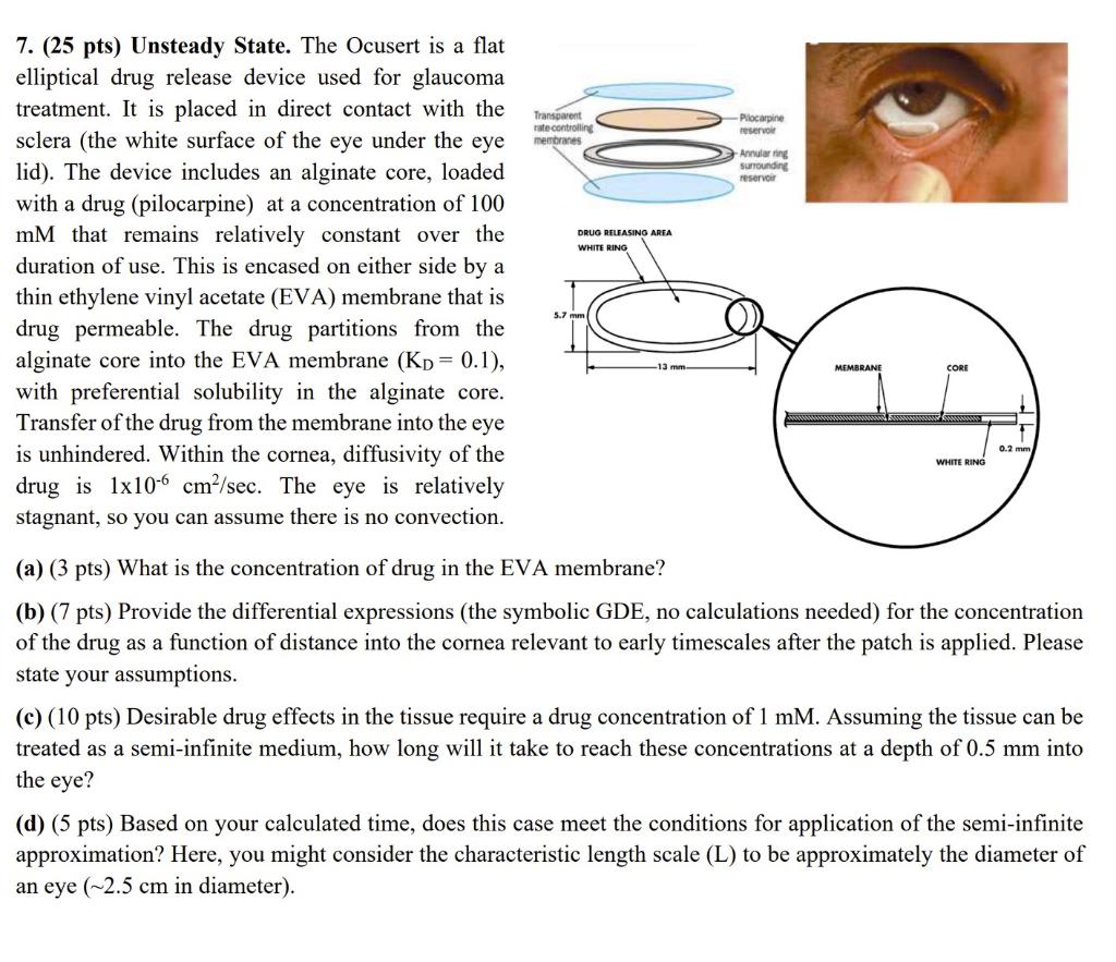 7. (25 pts) Unsteady State. The Ocusert is a flat | Chegg.com