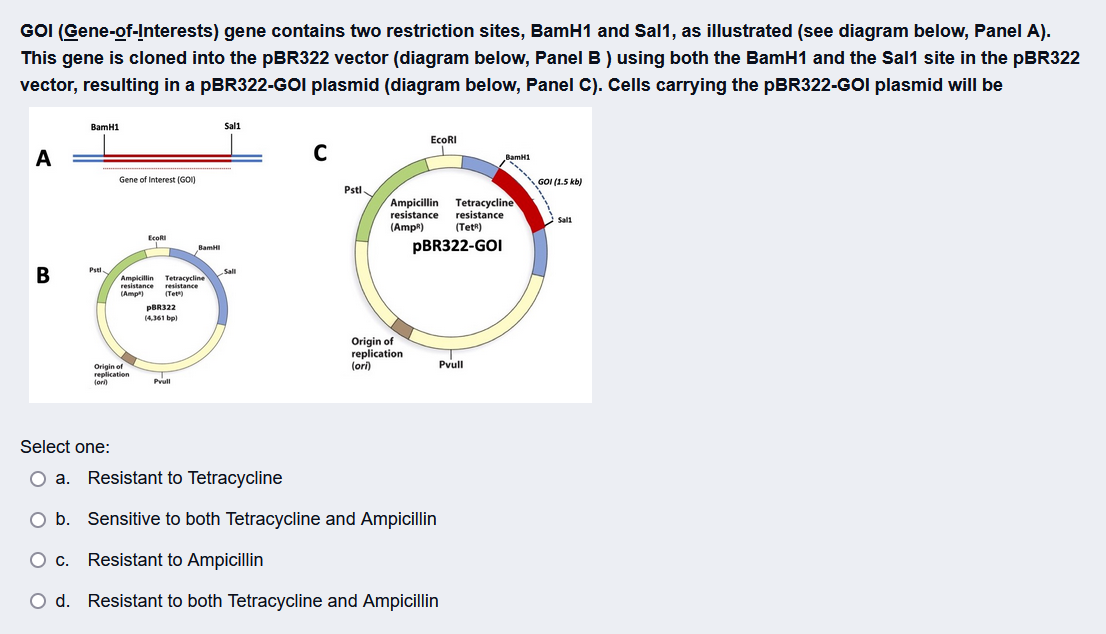 Solved GOI (Gene-of-Interests) gene contains two restriction | Chegg.com