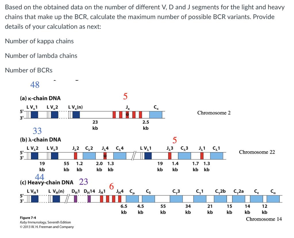 Based on the obtained data on the number of different | Chegg.com