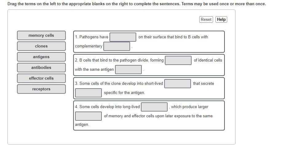 solved-drag-the-terms-on-the-left-to-the-appropriate-blanks-chegg