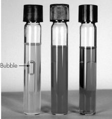 Solved In the phenol broth red test (shown below), a yellow | Chegg.com