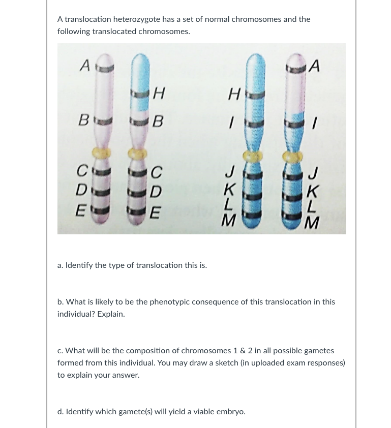 Solved A translocation heterozygote has a set of normal | Chegg.com