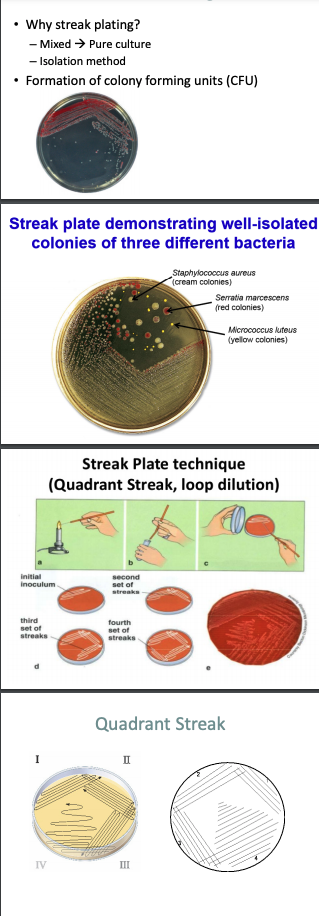 Solved Why streak plating? - Mixed → Pure culture - | Chegg.com