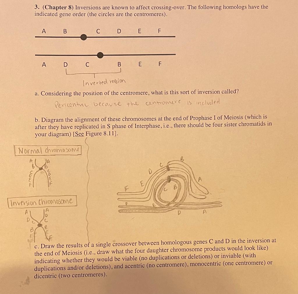 Solved is part A & B correct? If not please explain why. | Chegg.com