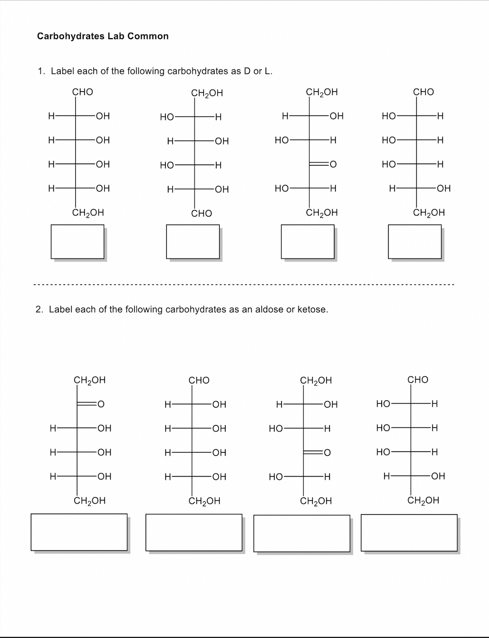 Solved Carbohydrates Lab Common 1. Label each of the | Chegg.com