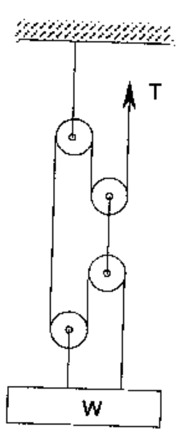Solved The tension T in the pulley system, supporting the | Chegg.com