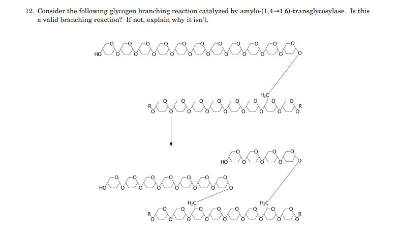 Solved 12. Consider the following glycogen branching | Chegg.com