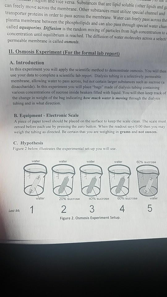 Solved Bio 150- Laboratory Manual Human Anatomy & Physiology | Chegg.com
