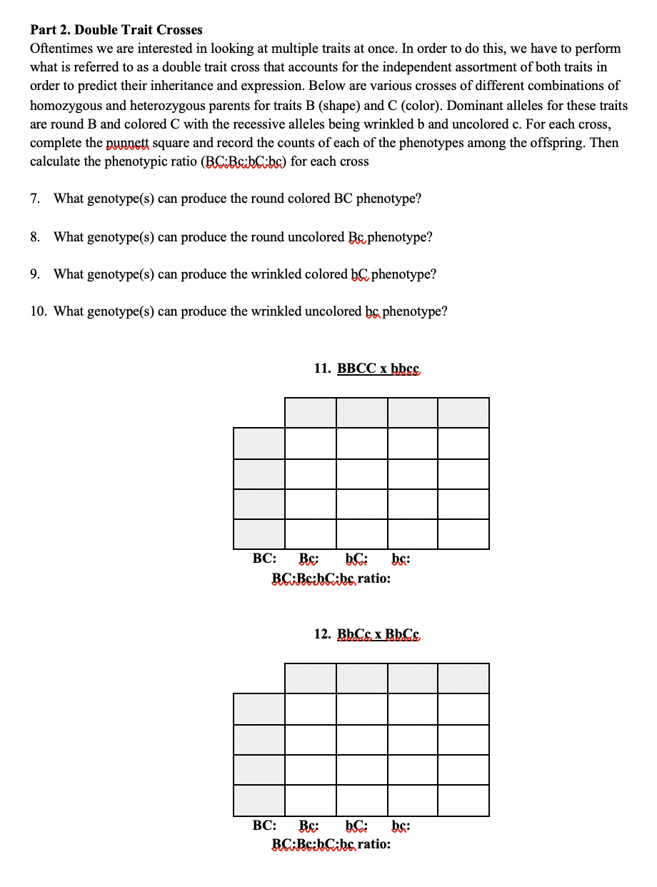 Solved Part 1. Single Trait Crosses The simplest crosses are | Chegg.com