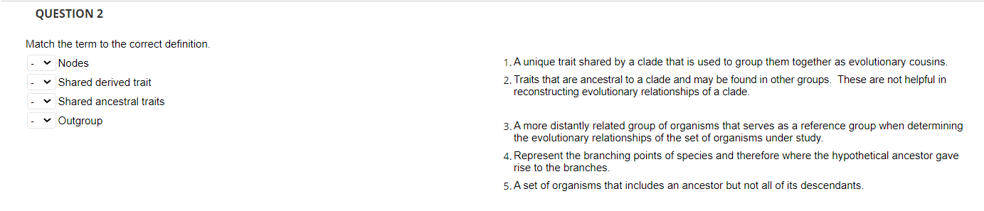 Solved Match the term to the correct definition. Nodes | Chegg.com