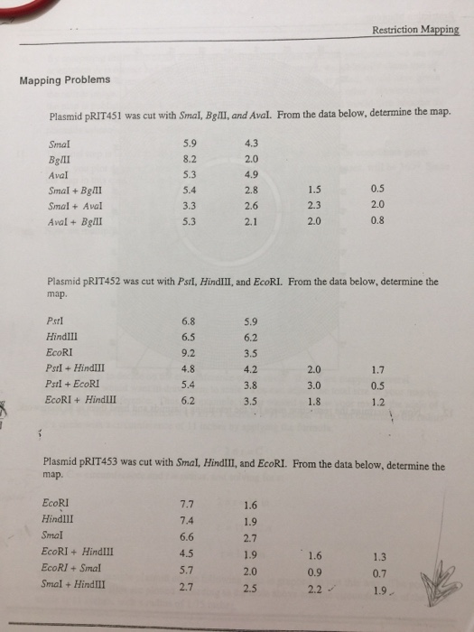 Solved Restriction Mapping Mapping Problems Plasmid pRIT451 | Chegg.com