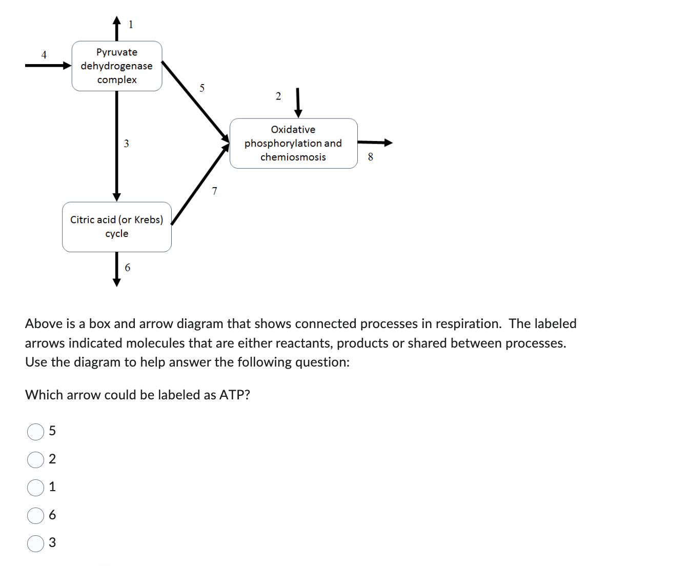 Solved Above is a box and arrow diagram that shows connected | Chegg.com