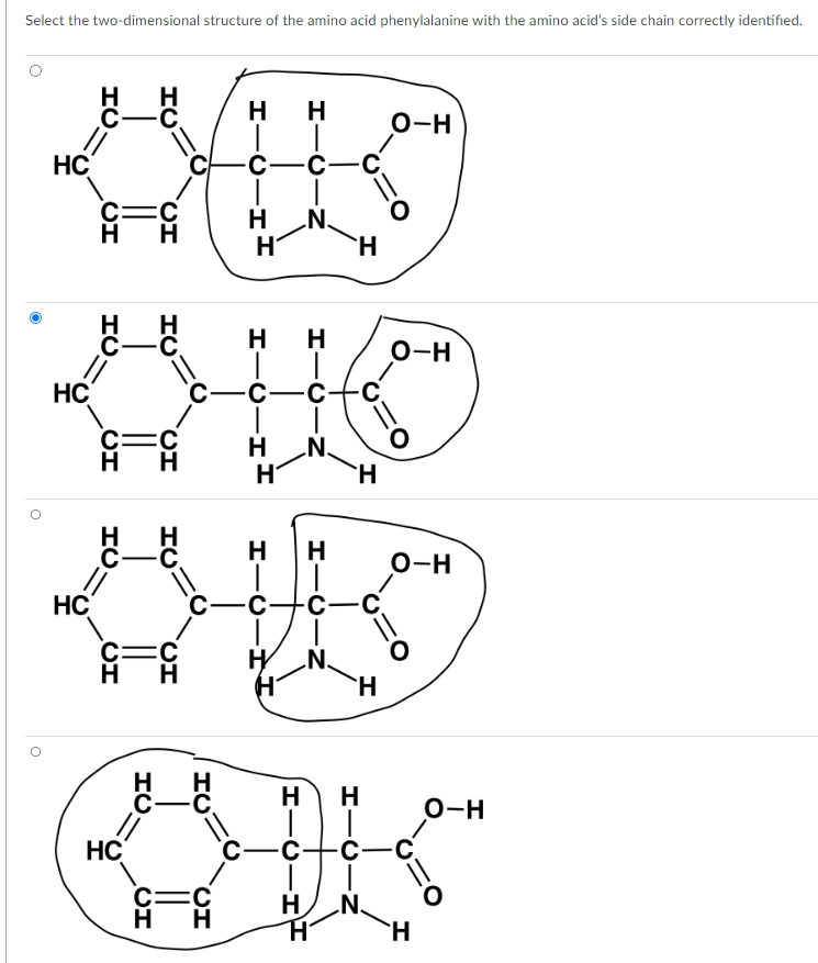Solved Select the two-dimensional structure of the amino | Chegg.com