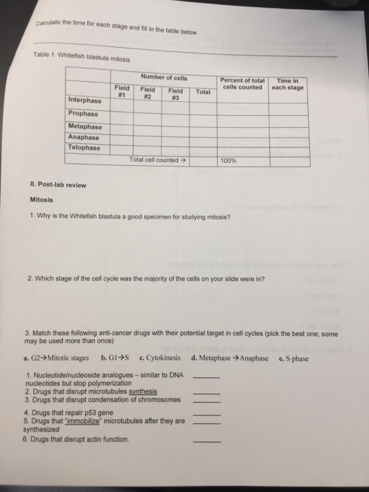 Solved Lab 9 Mitosis Andmeiosis Learning Objectives 1 