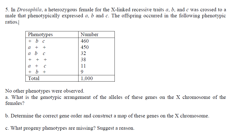 Solved In Drosophila, a heterozygous female for the X-linked | Chegg.com