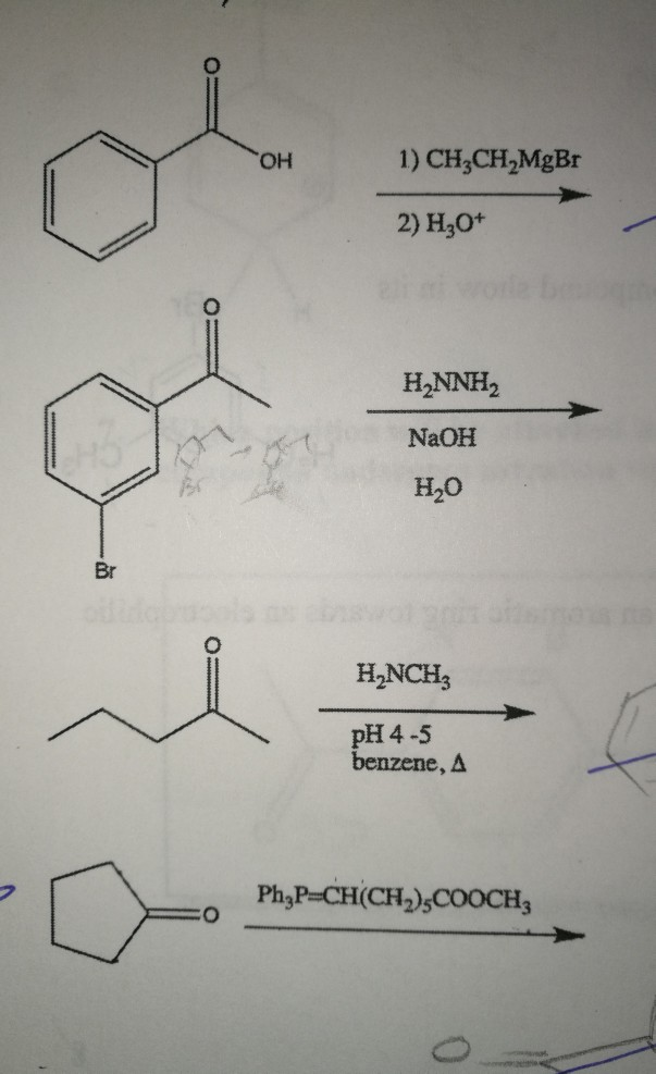 Solved 1) CH,CH2MgBr он 2) H30+ H2NNH2 NaOH H,0 Br H2NCH3 pH | Chegg.com