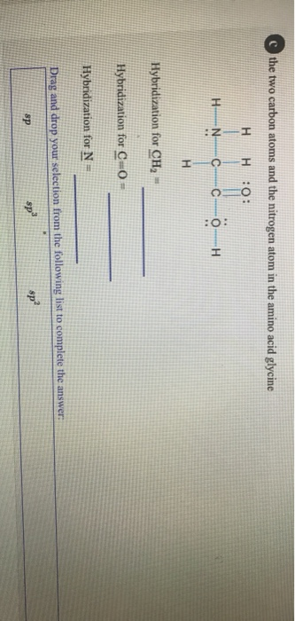 Solved sp О the two carbon atoms and the nitrogen atom in | Chegg.com
