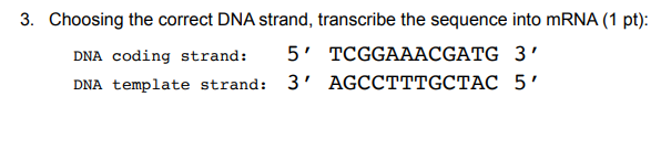 Solved 3. Choosing the correct DNA strand, transcribe the | Chegg.com