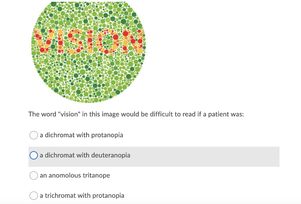Solved The word "vision" in this image would be difficult to | Chegg.com