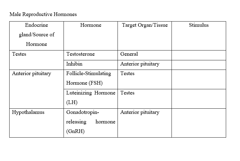 Solved Stimulus Male Reproductive Hormones Endocrine Hormone | Chegg.com