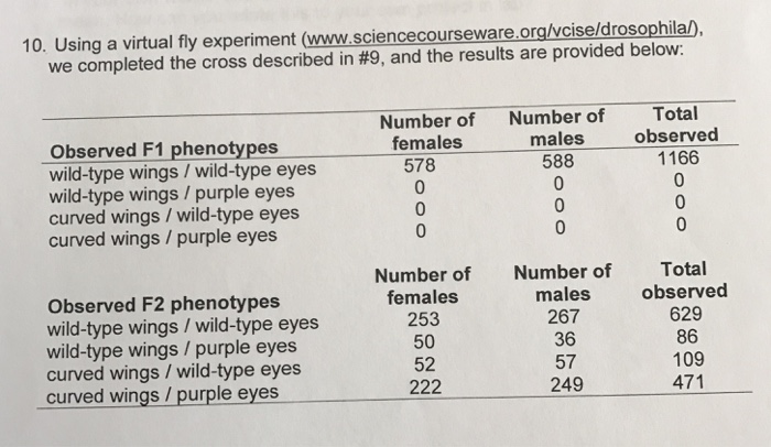 Solved 10. Using a virtual fly experiment | Chegg.com
