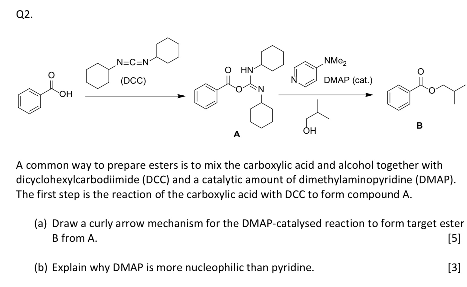 Solved NMe2 N=C=N (DCC) O HN DMAP (cat.) OH OH A common way | Chegg.com