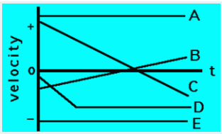 Solved Horizontal Motion- Velocity Time graph 1. Which are | Chegg.com