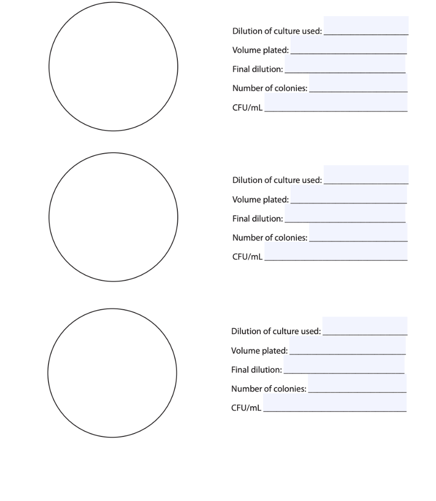Solved Dilution of culture used: Volume plated: Final | Chegg.com