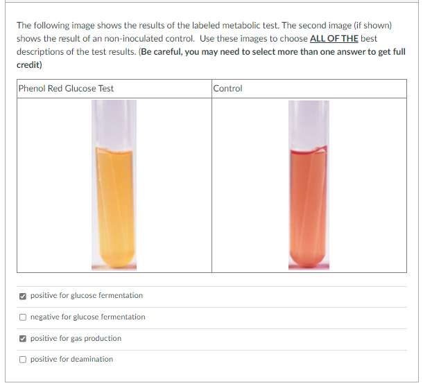 Solved The following image shows the results of the labeled | Chegg.com