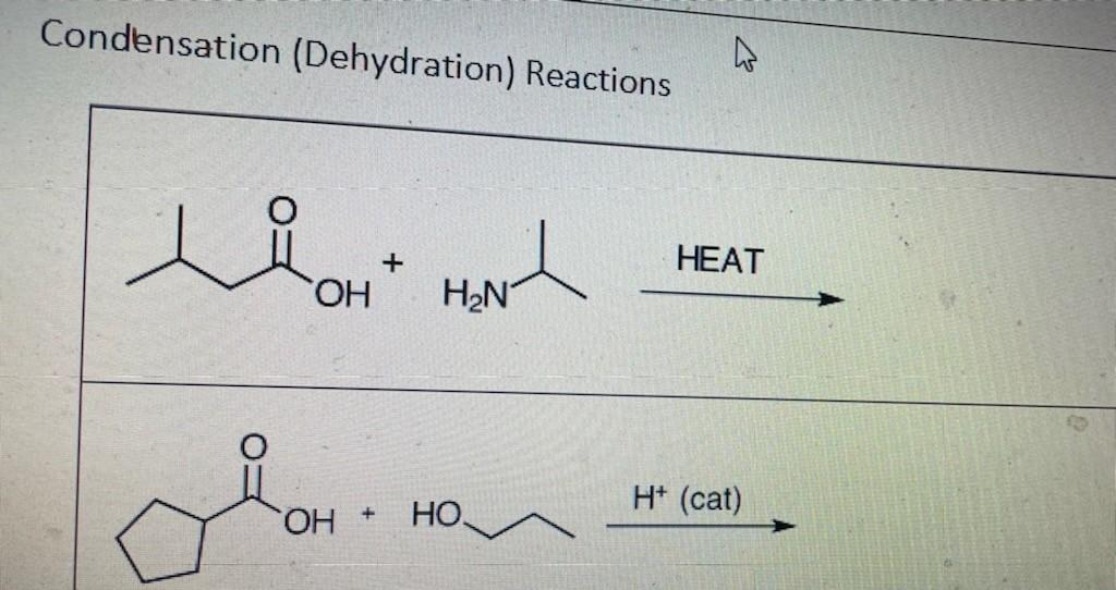 Solved Condensation (Dehydration) Reactions | Chegg.com