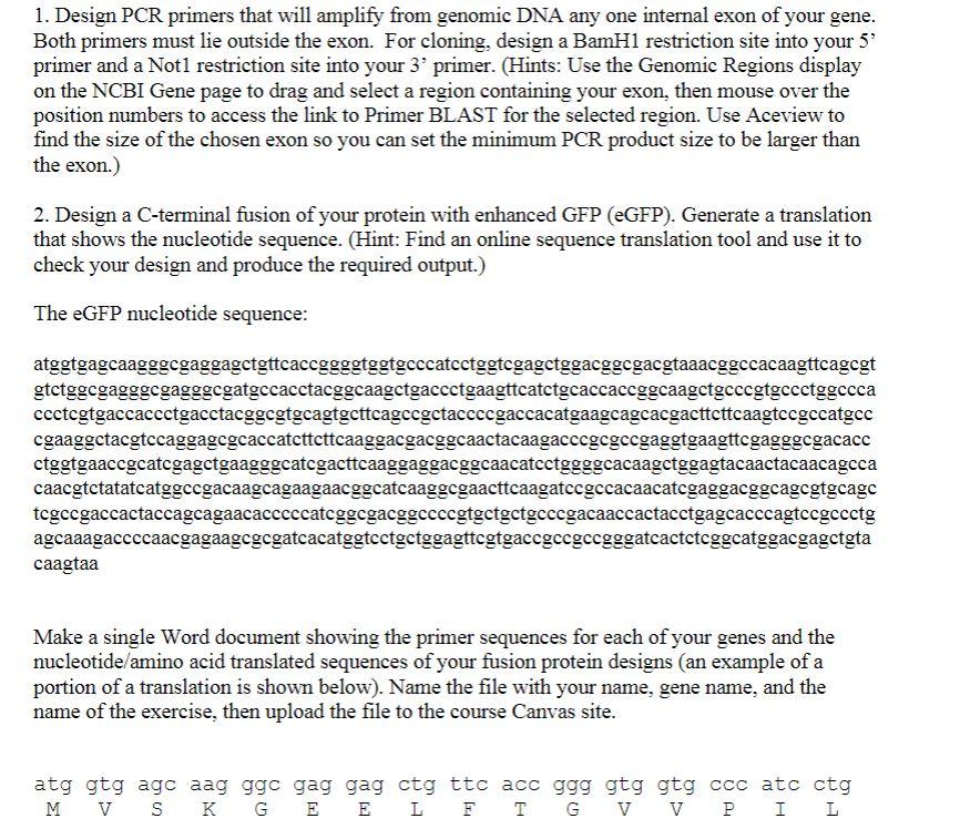 1. Design PCR primers that will amplify from genomic | Chegg.com