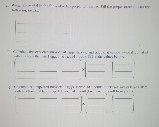 Solved e. Write this model in the form of a 3x3 projection | Chegg.com