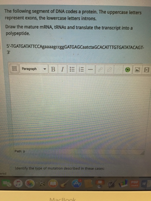 Solved The following segment of DNA codes a protein. The | Chegg.com