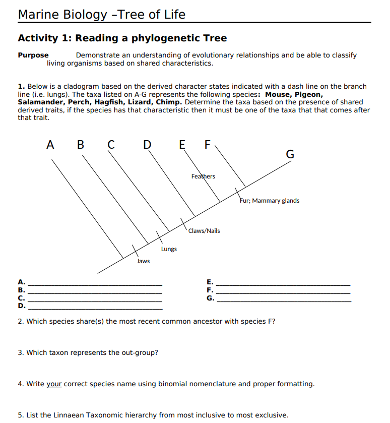 Solved Marine Biology -Tree of Life Activity 1: Reading a | Chegg.com