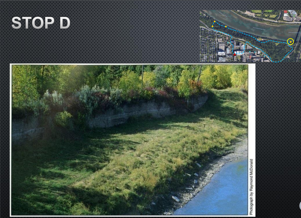 Solved STOP D: THE HIGH LEVEL-LRT BRIDGE SECTION Stop | Chegg.com