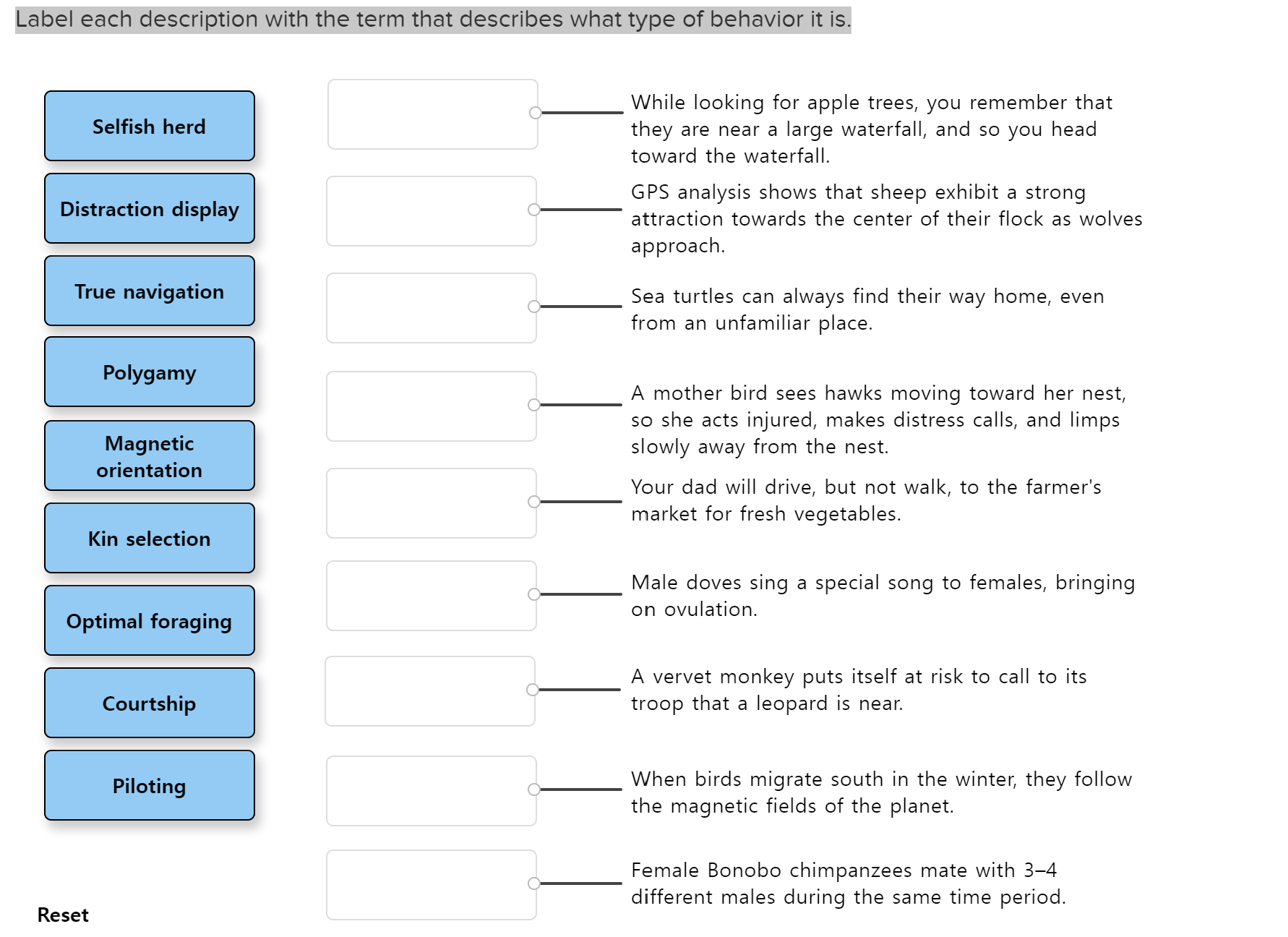 Solved Label each description with the term that describes | Chegg.com
