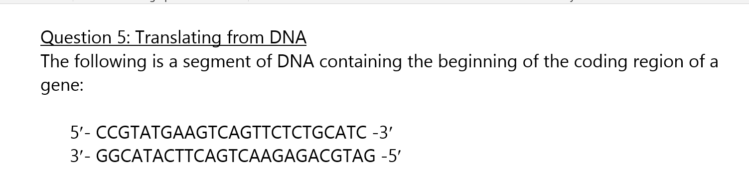 Solved Question 5: Translating from DNA The following is a | Chegg.com