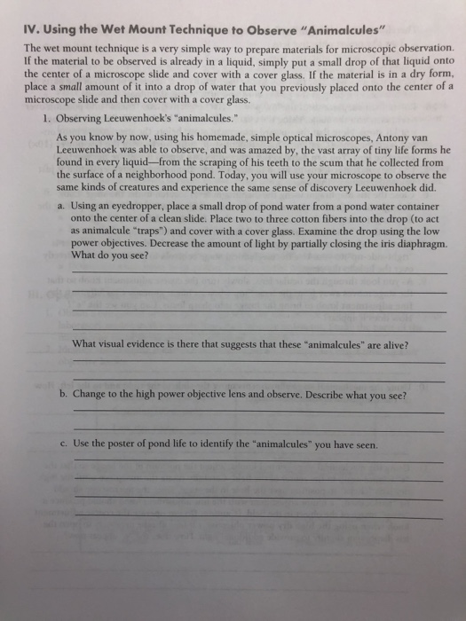 Solved IV. Using the Wet Mount Technique to Observe | Chegg.com