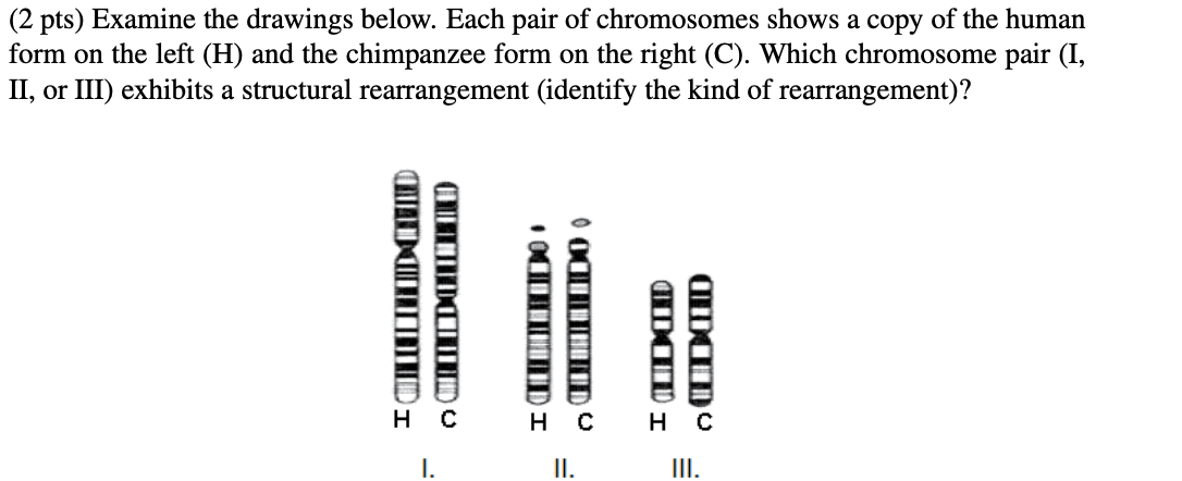 Solved (2 pts) Examine the drawings below. Each pair of | Chegg.com