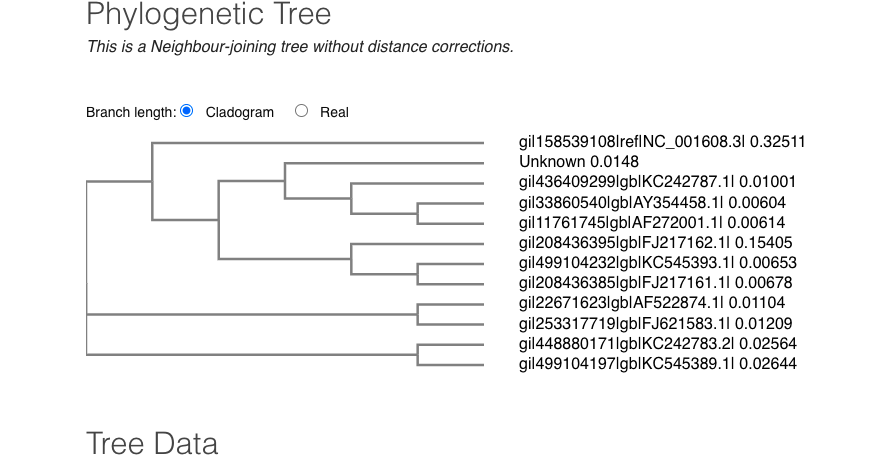 Solved Where is the location of the outgroup on this | Chegg.com