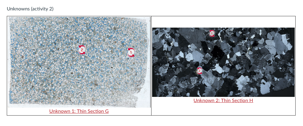 Solved Analysis of Textures in Thin Section 1. In the table | Chegg.com