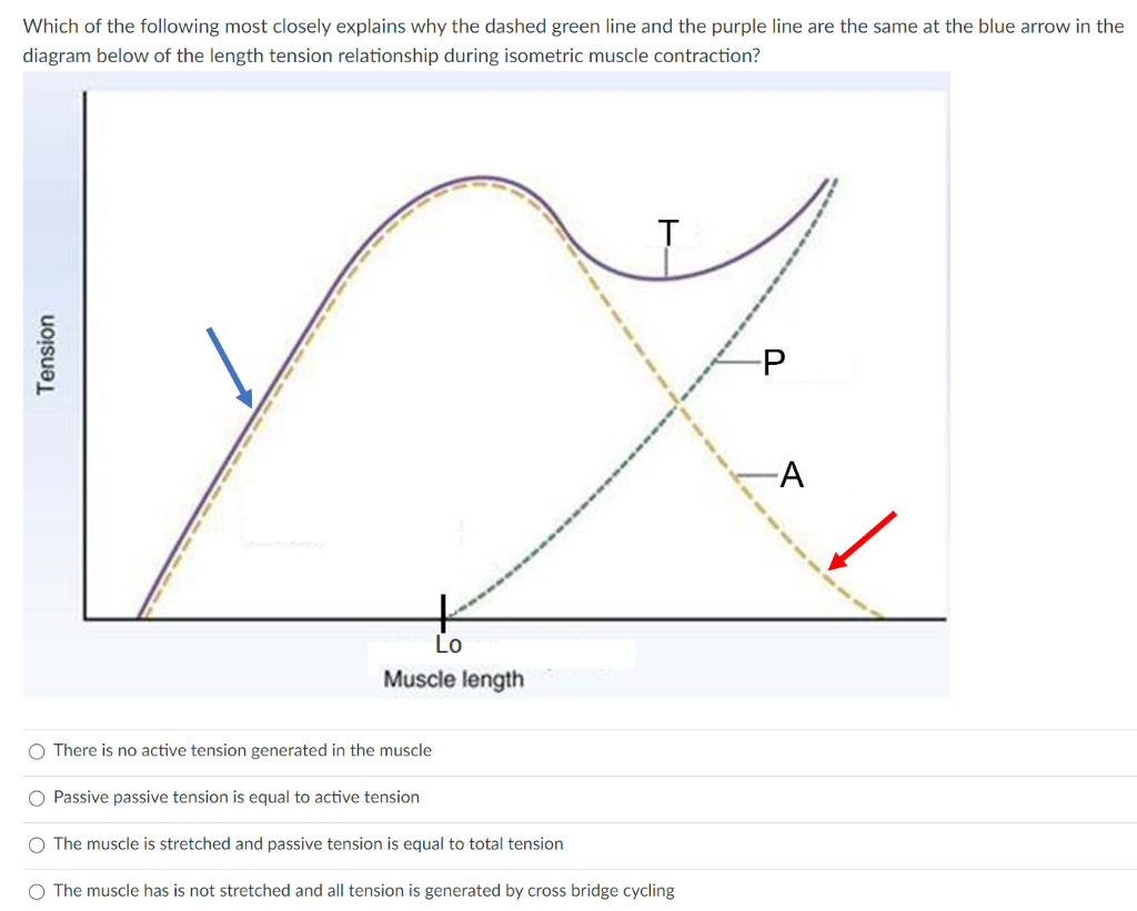 Which of the following most closely explains why the | Chegg.com