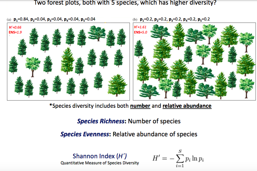 Solved Calculate the total diversity of the trees (i.e. | Chegg.com