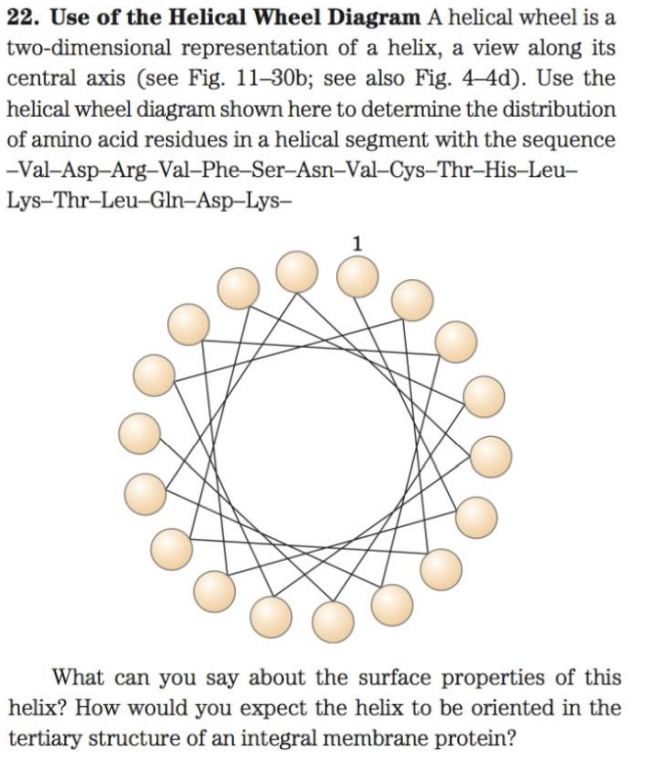 Solved 22. Use of the Helical Wheel Diagram A helical wheel | Chegg.com
