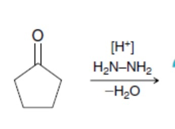 Solved HO-NH2 -H20 [H*1 H2N-NH2 -H20 N-H 2 H20 2 H2O | Chegg.com