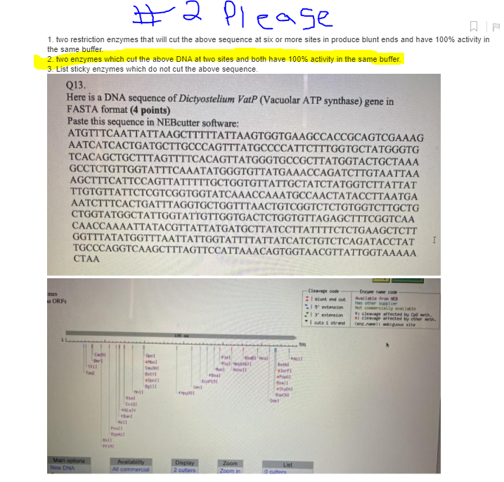 Solved # #2 Please 1. two restriction enzymes that will cut | Chegg.com