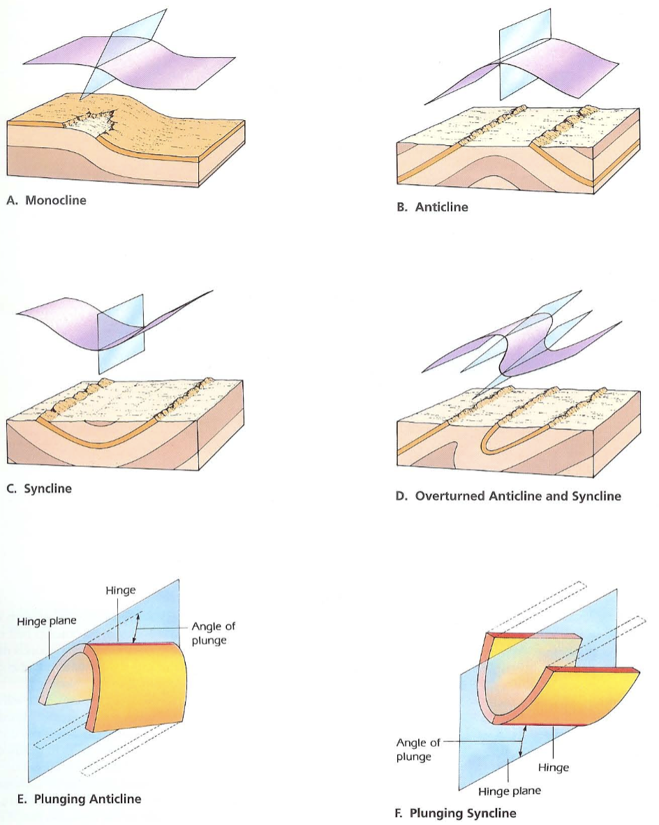 Solved ATTITUDE OF BEDS FAULTS FOLDS Plunging anticline | Chegg.com