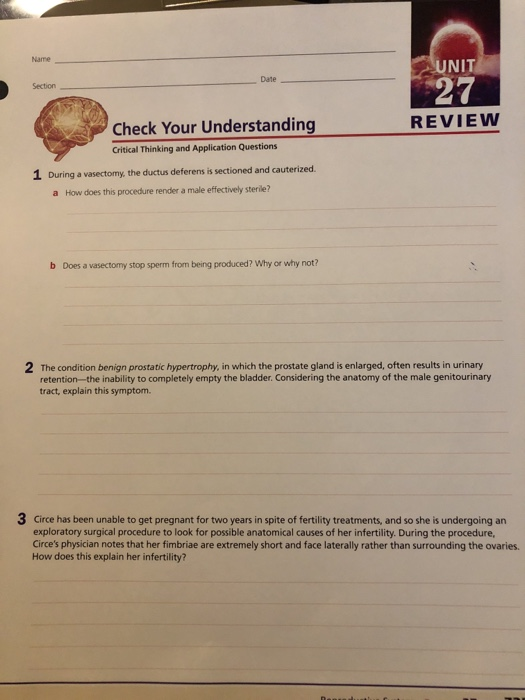 Solved Name UNIT 27 REVIEW Date Section Check Your | Chegg.com